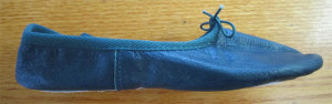 Linge Shoes Ballet Flats Shoe Review – Gear Reviews & Healthy Aging